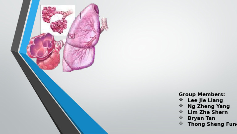 Emphysema Presentation | PDF