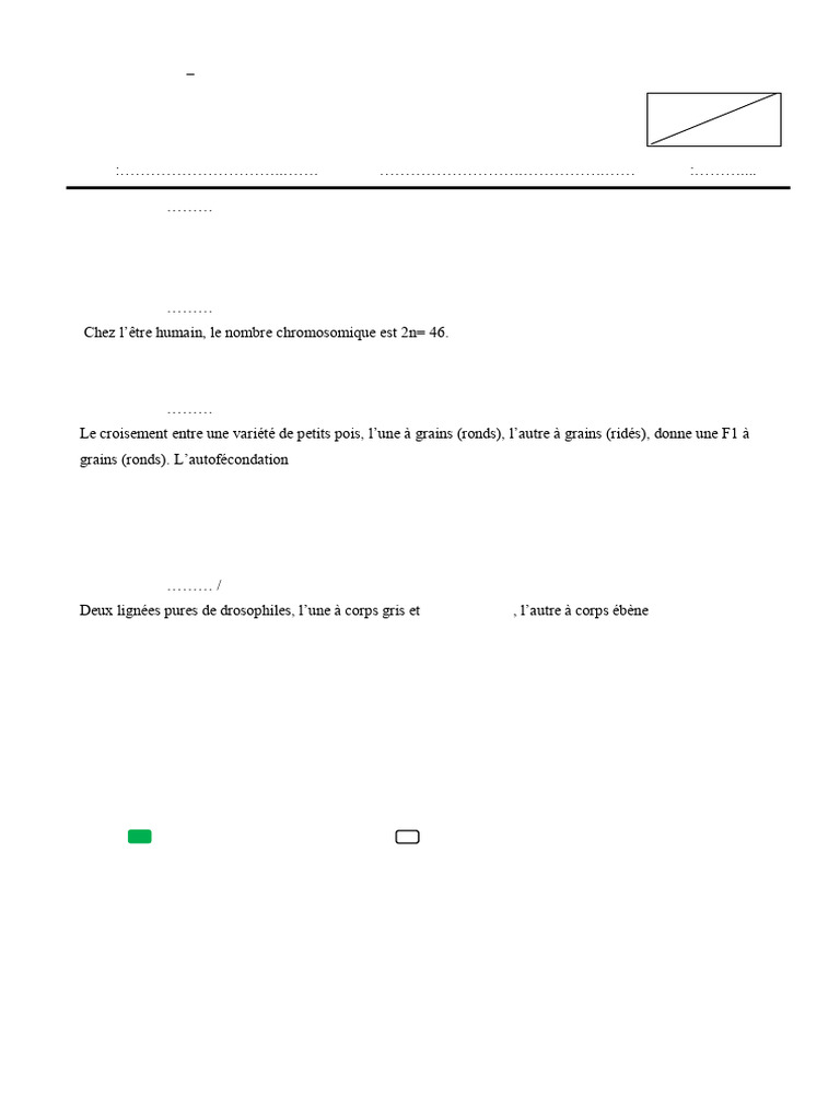 Corrigé Type Première Interrogation Génétique 2023 2024 | PDF