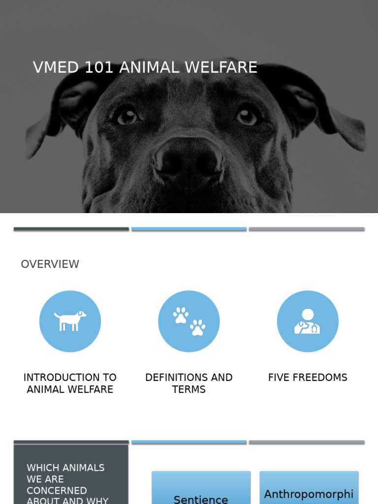 2 VMED 101 Animal Welfare | PDF