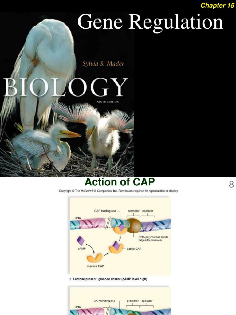Bio Regulate | PDF