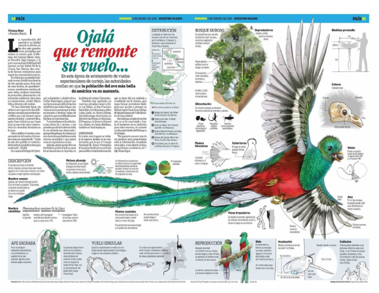 Quetzal | PDF