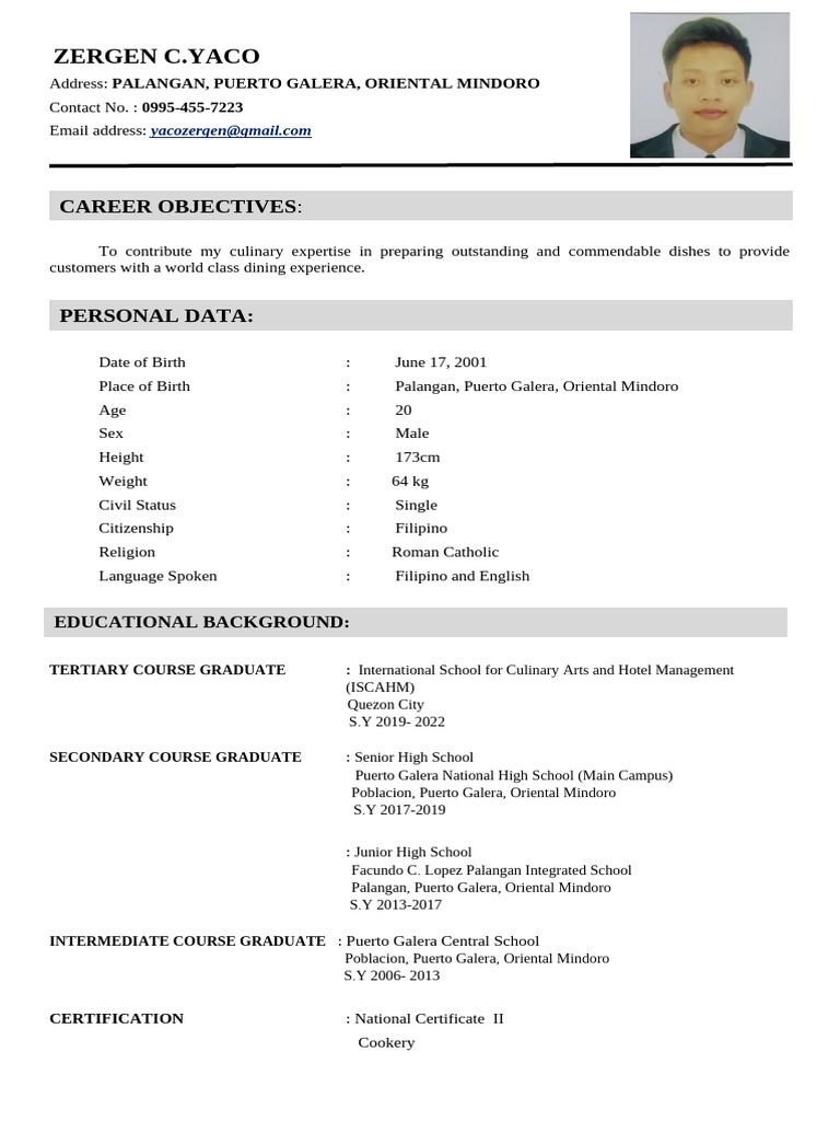 Zergen Yaco CV | PDF