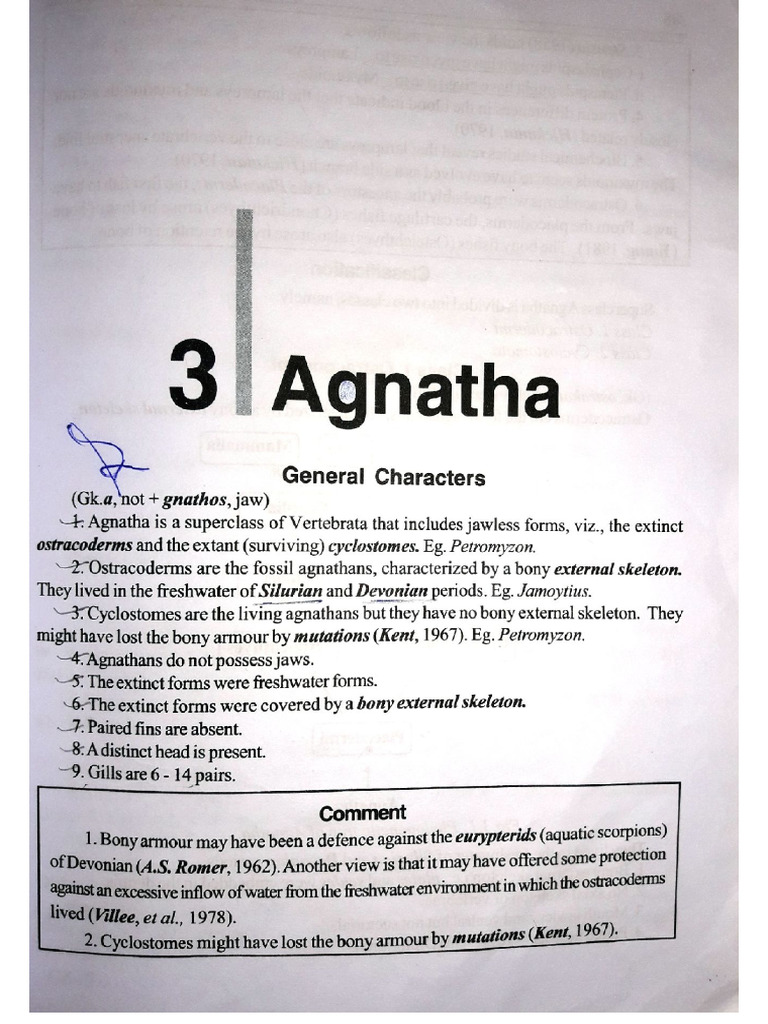 Agnatha | PDF