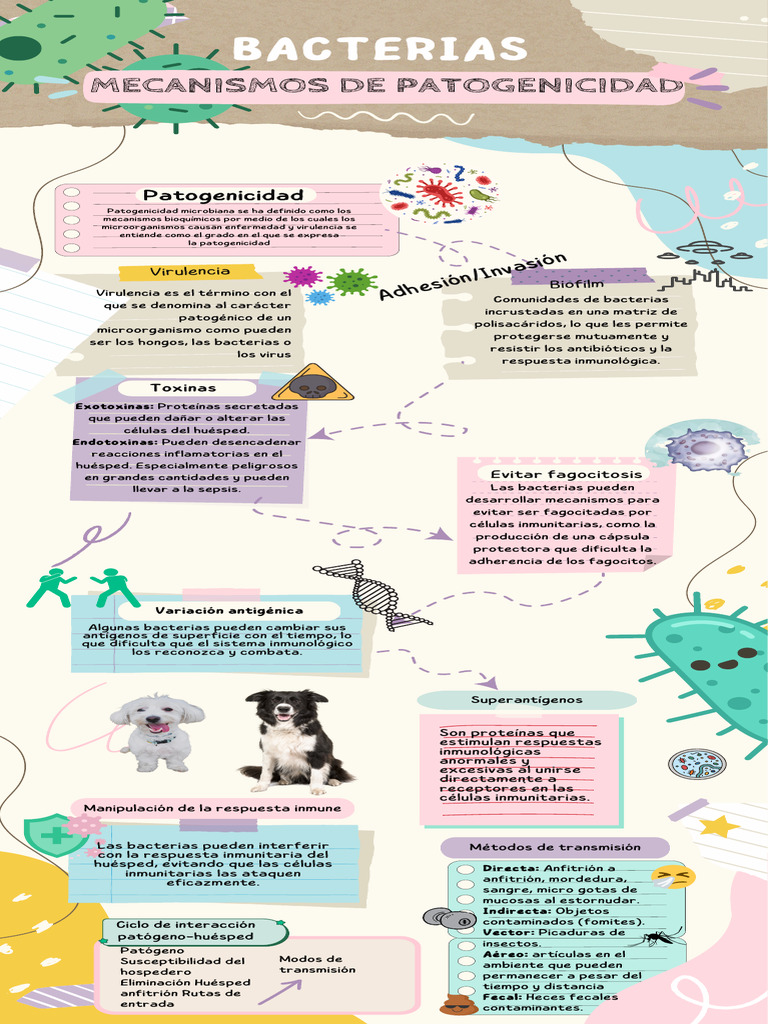 Mecanismos de Patogenicidad y Diagnostico de Las Bacterias | PDF ...