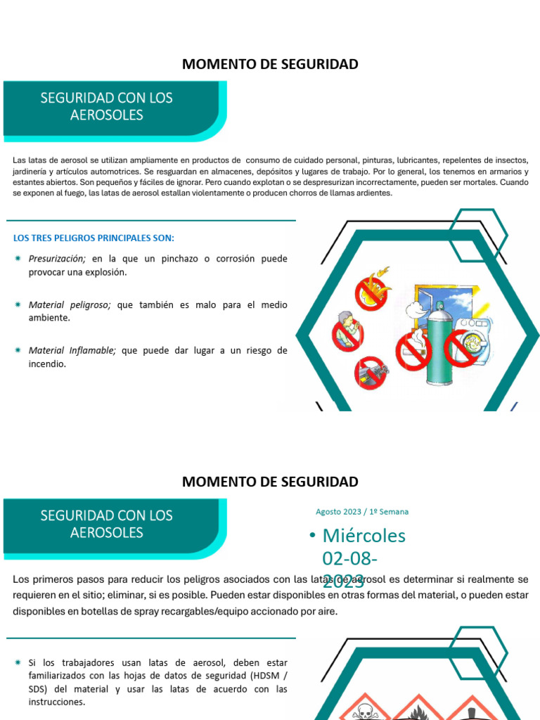 1° Parte Tips EHS | PDF
