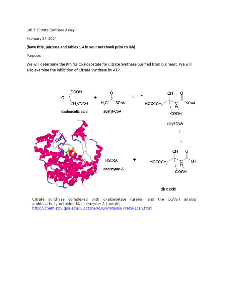 Lab 5 Biochem | PDF
