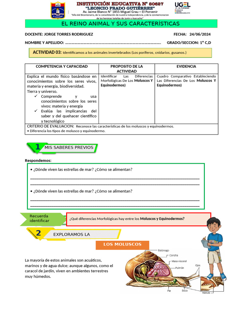 Act 3 Cyt Unid 3 - 1 Grado | PDF
