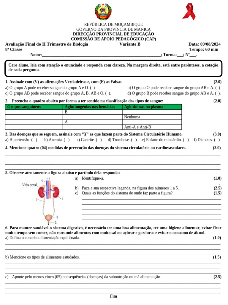 2024 Af Ii en Bio 8 B | PDF