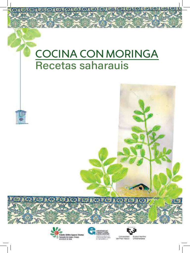 2024 Recetario Cocina Con Moringa Cast Compressed | PDF
