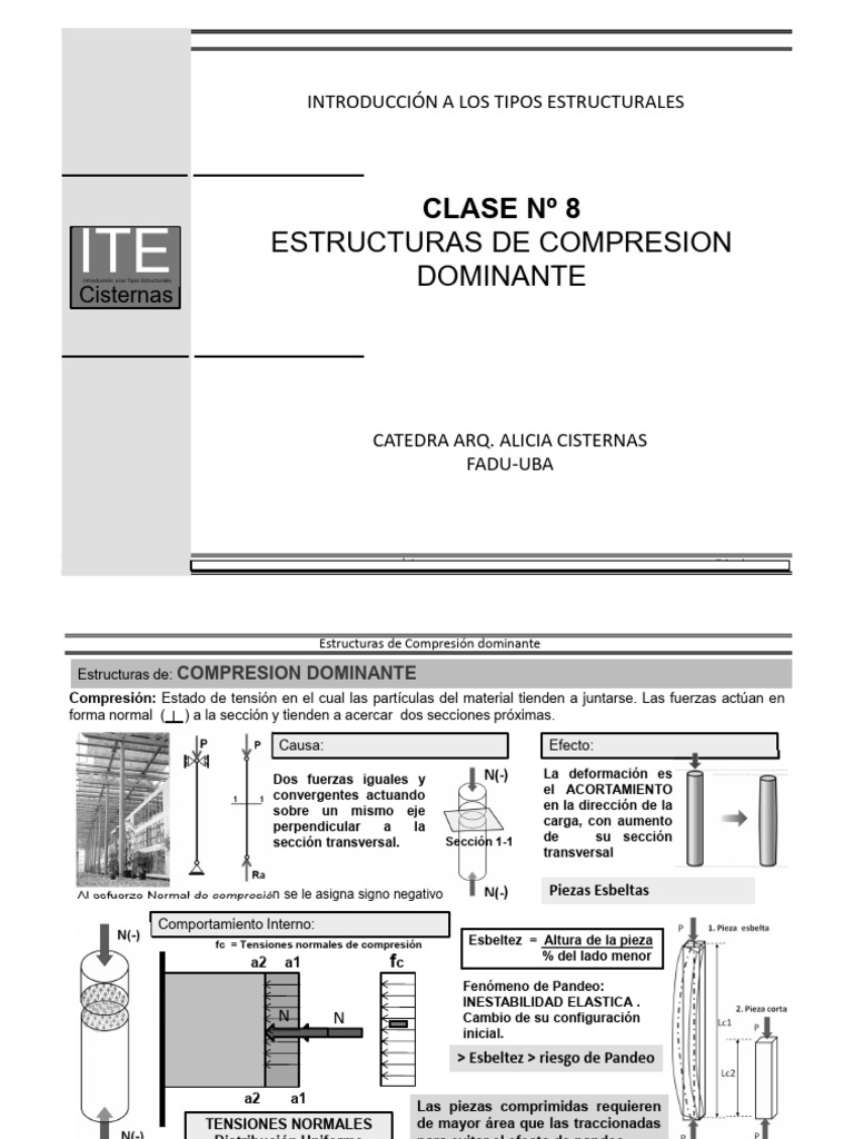 T08-Estructuras de Compresión | PDF
