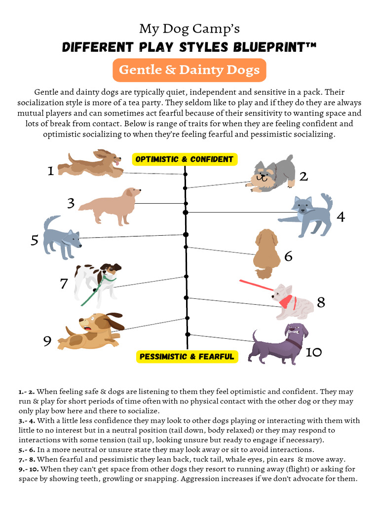 Different Play Styles Blueprint | PDF