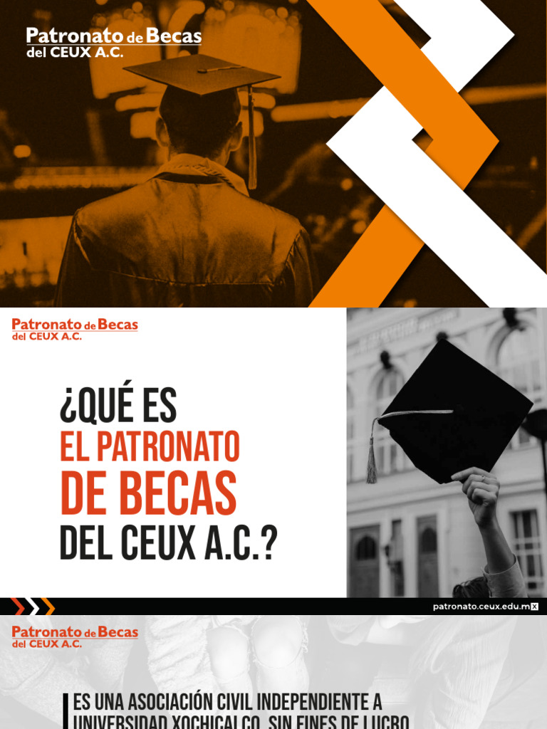 Patronato | PDF