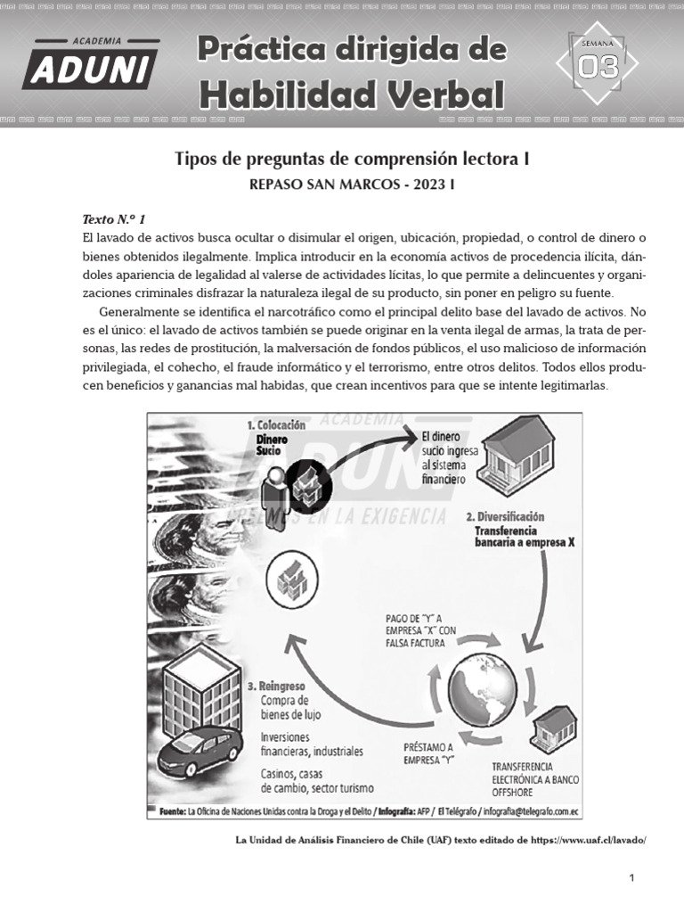 Habilidad Verbal - Práctica Dirigida | PDF