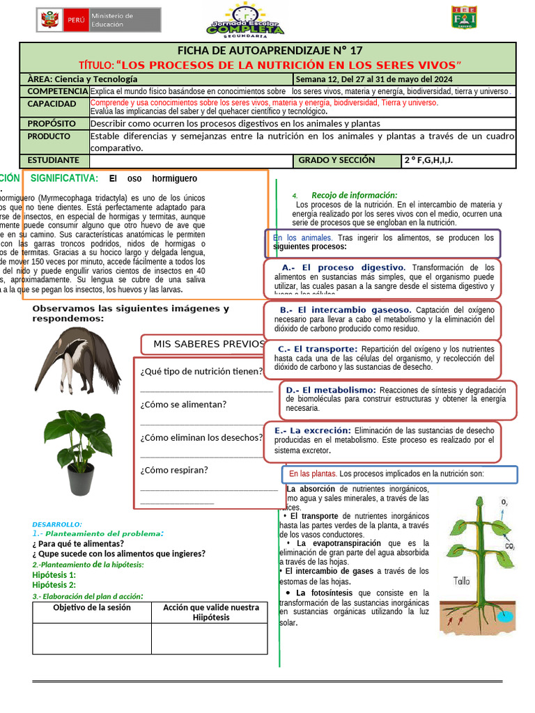 FICHA DE AUTOAPRENDIZAJE - N°18 Procesos. | PDF
