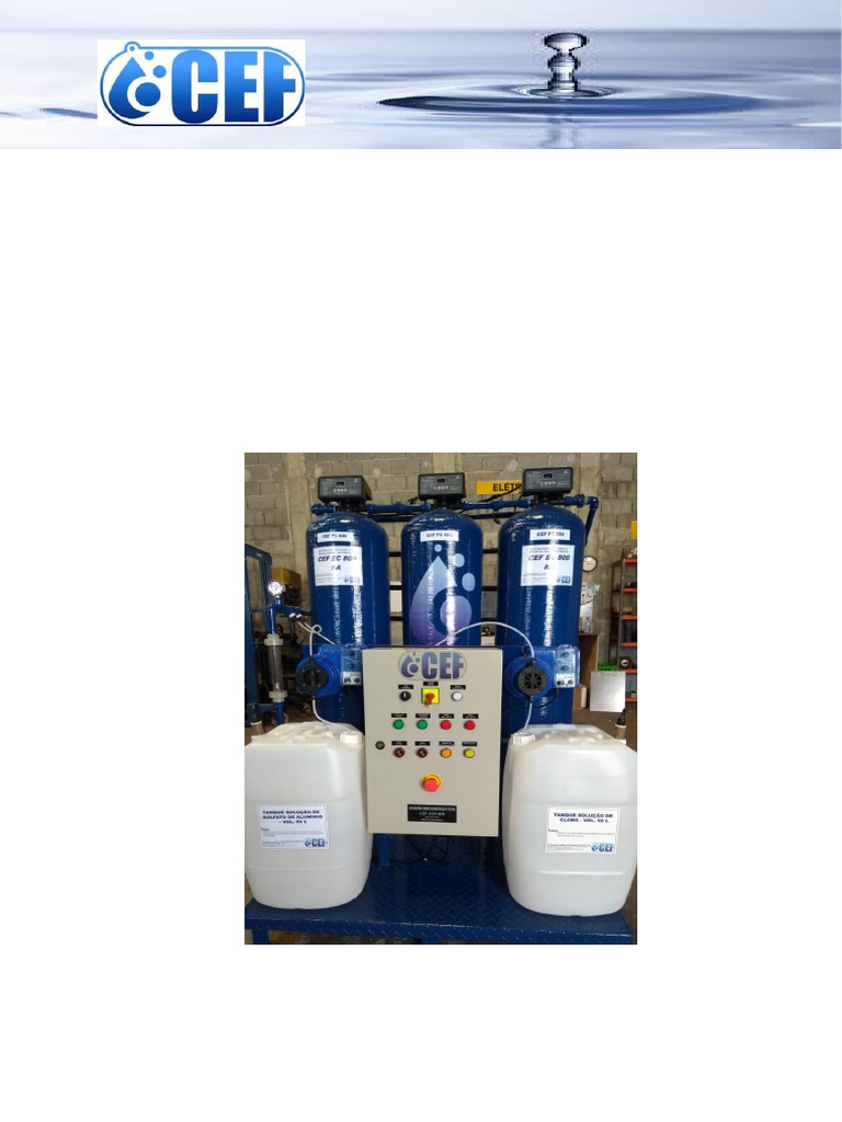 MANUAL CEF ECR 800 Automática - REV.0 | PDF | Sustancias químicas | Compuestos químicos
