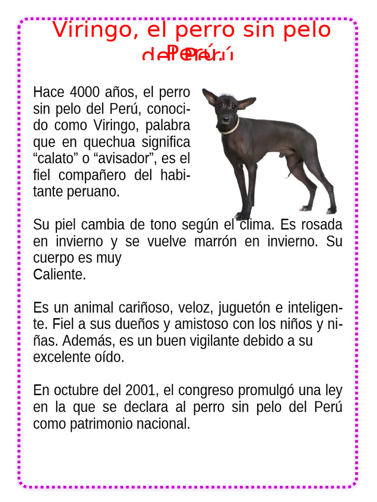 F. Viringo El Perro Sin Pelo Del Peru | PDF