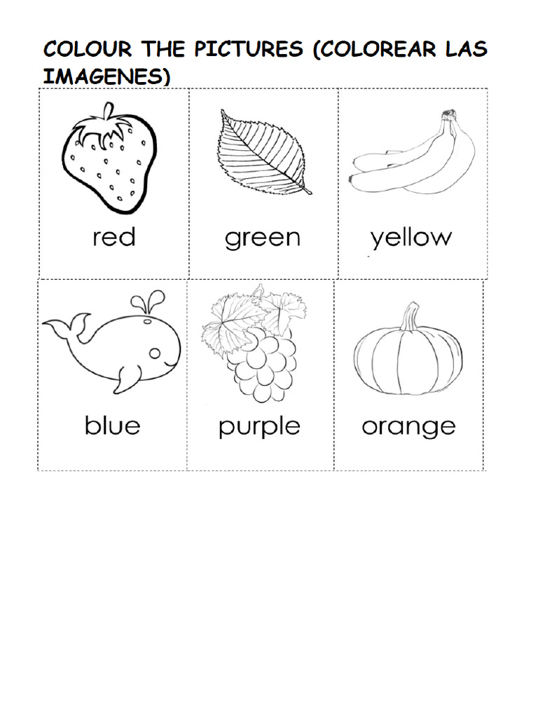 Colour The Pictures (1 Copia) | PDF