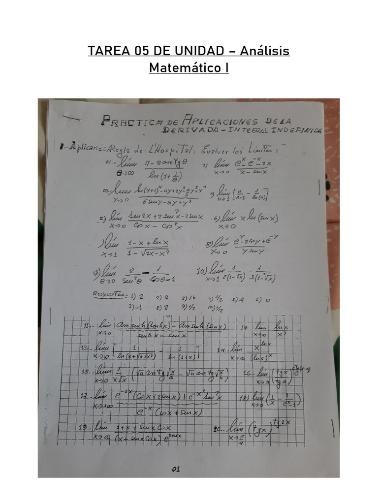 Tarea 05 de Unidad - Análisis Matemático I | PDF