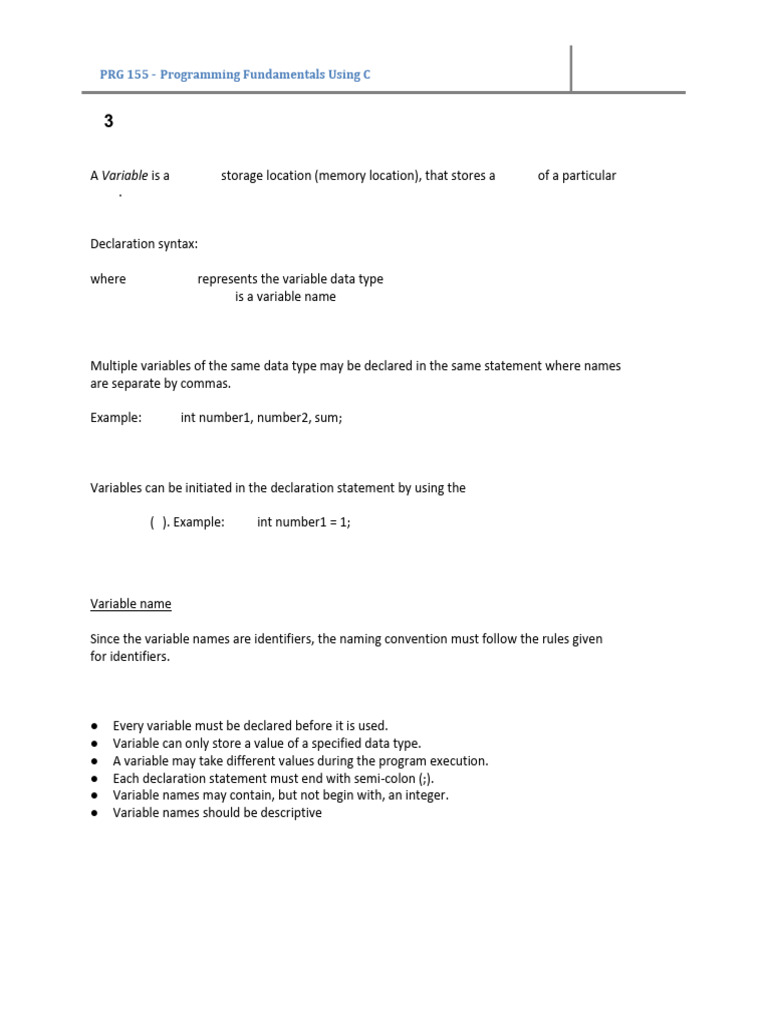 3 Data Type Variables Constants Data Input | PDF
