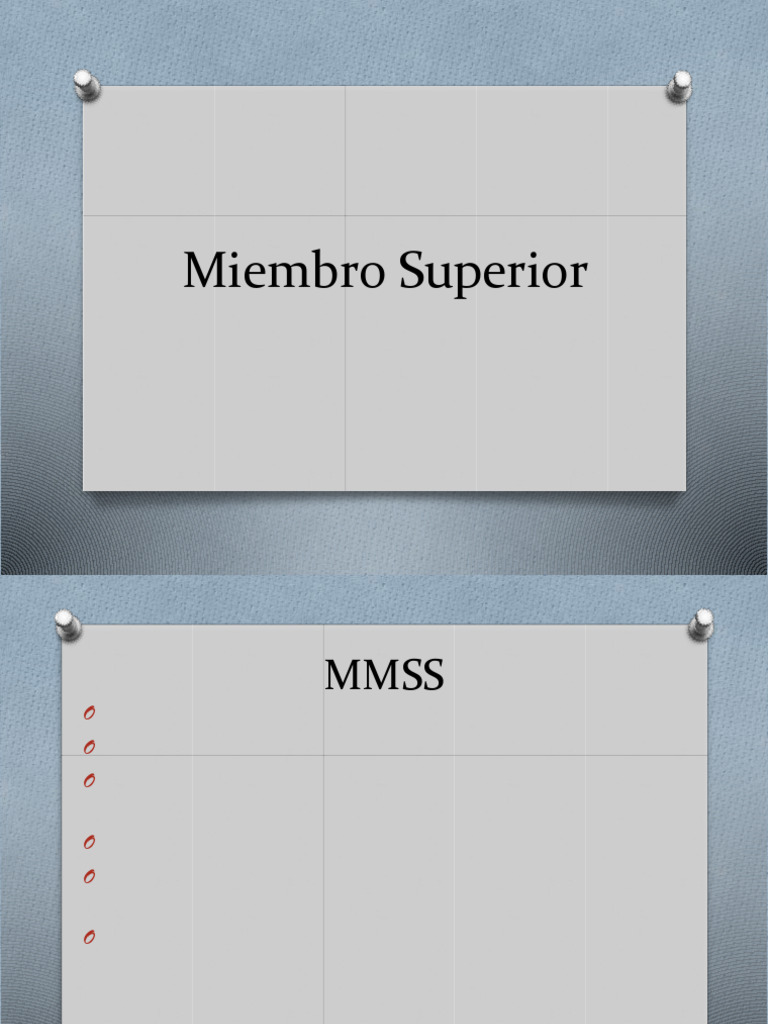 Miembro Superior | PDF