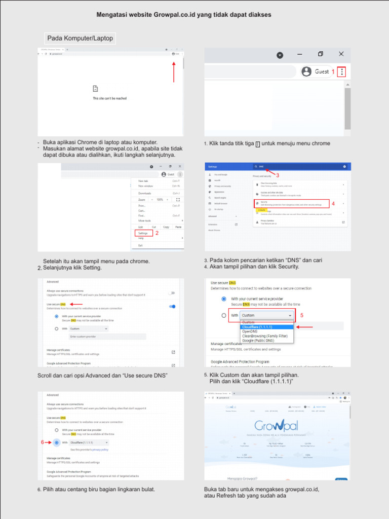 DNS Growpal | PDF