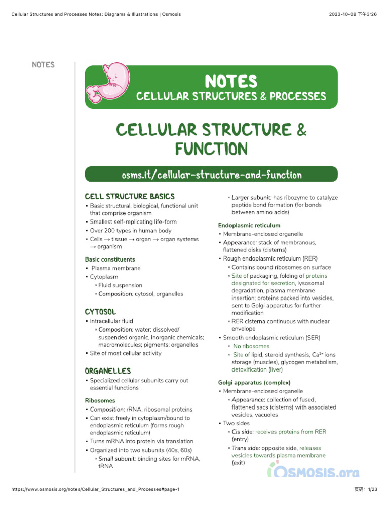 Cellular Structures And Processes Notes Diagrams And Illustrations Osmosis Pdf