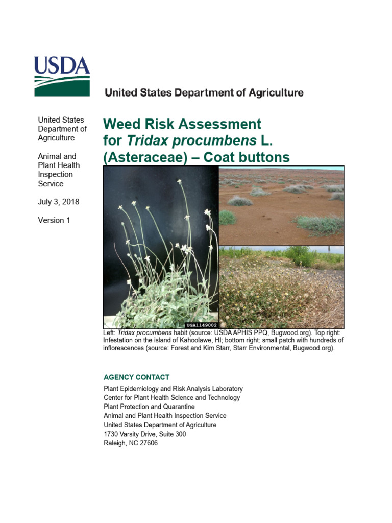 Tridax Procumbens 1 | PDF