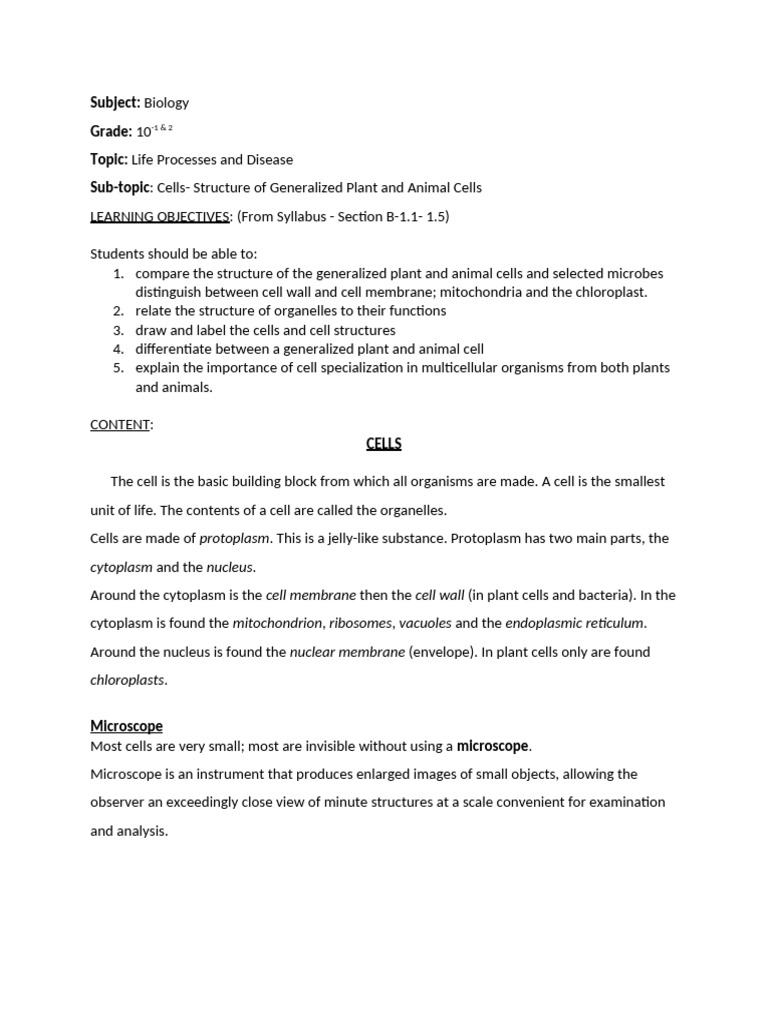 10 Bio Cells Booklet | PDF