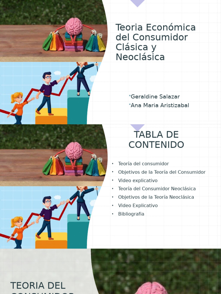 Presentacion Teoria Del Consumidor | PDF