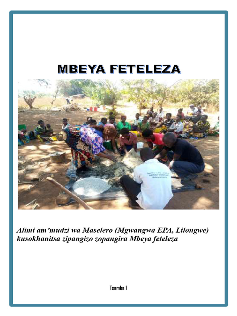 Mbeya Fertilizer Revised | PDF