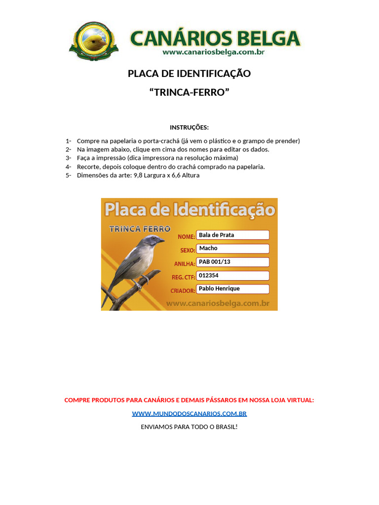 Placa Identificacao Trinca Ferro | PDF