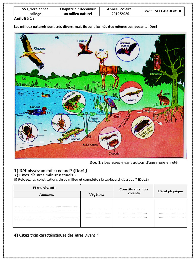 Ilovepdf Merged 2 | PDF