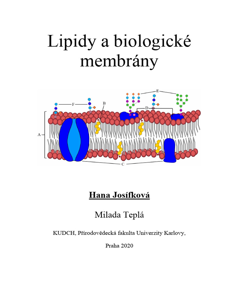 Studijni Text Lipidy Fosfolip2vrstva | PDF