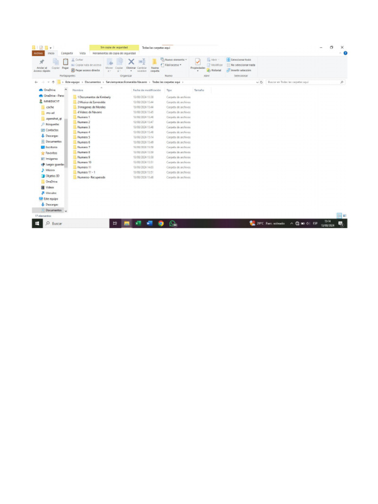 Evidencia de Carpetas | PDF