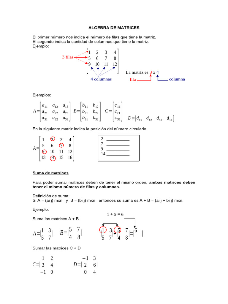Clase Nº 9 ALGEBRA DE MATRICES | PDF
