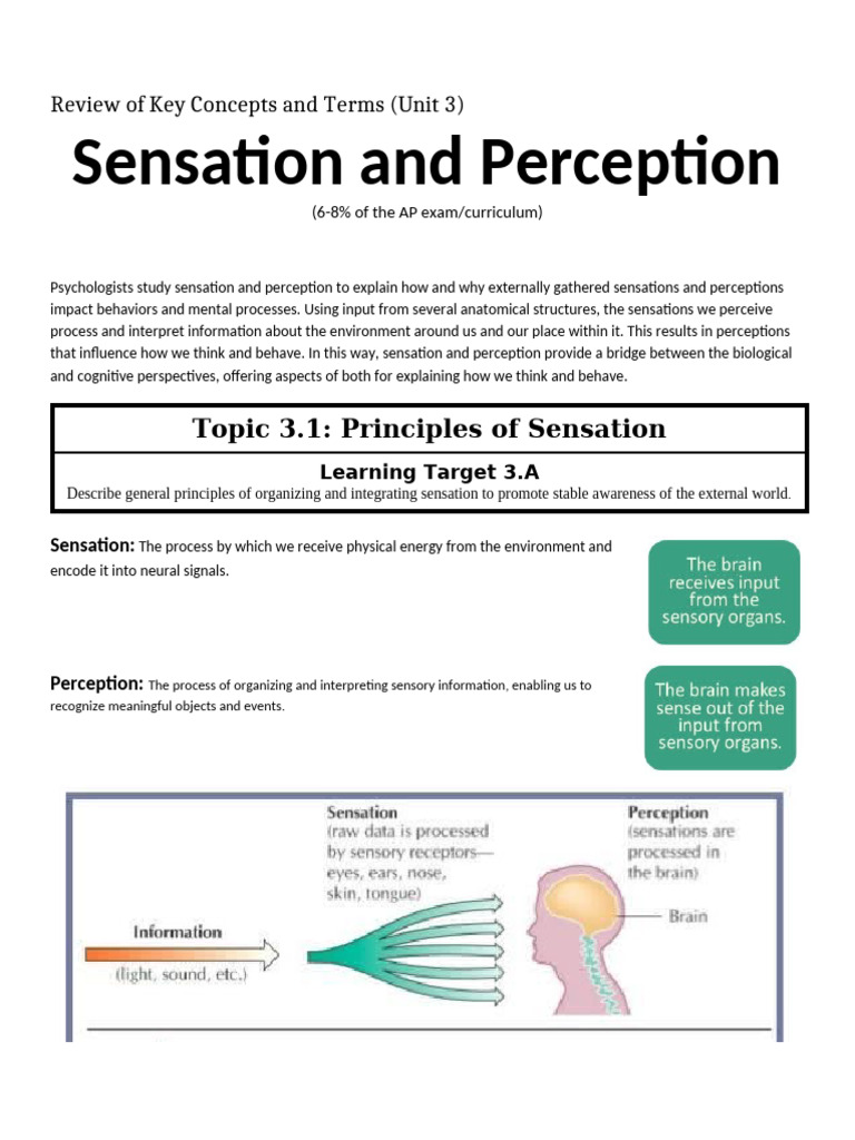 REVIEW (Unit 3) - Sensation and Perception | PDF | Perception | Senses