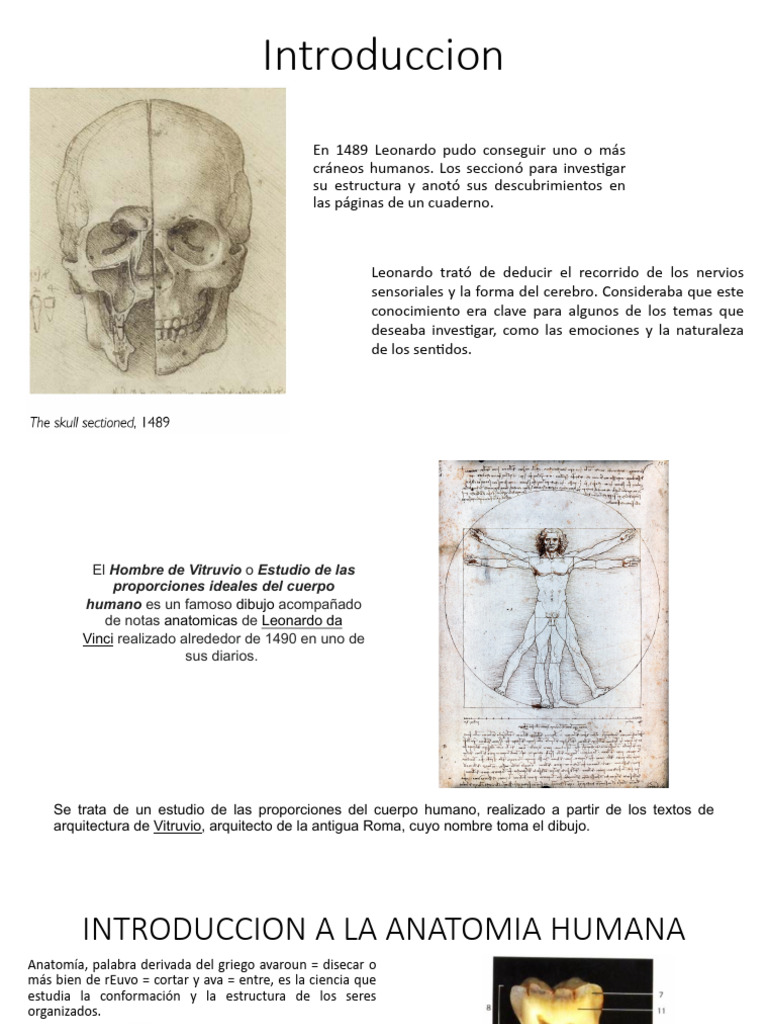 Osea | PDF