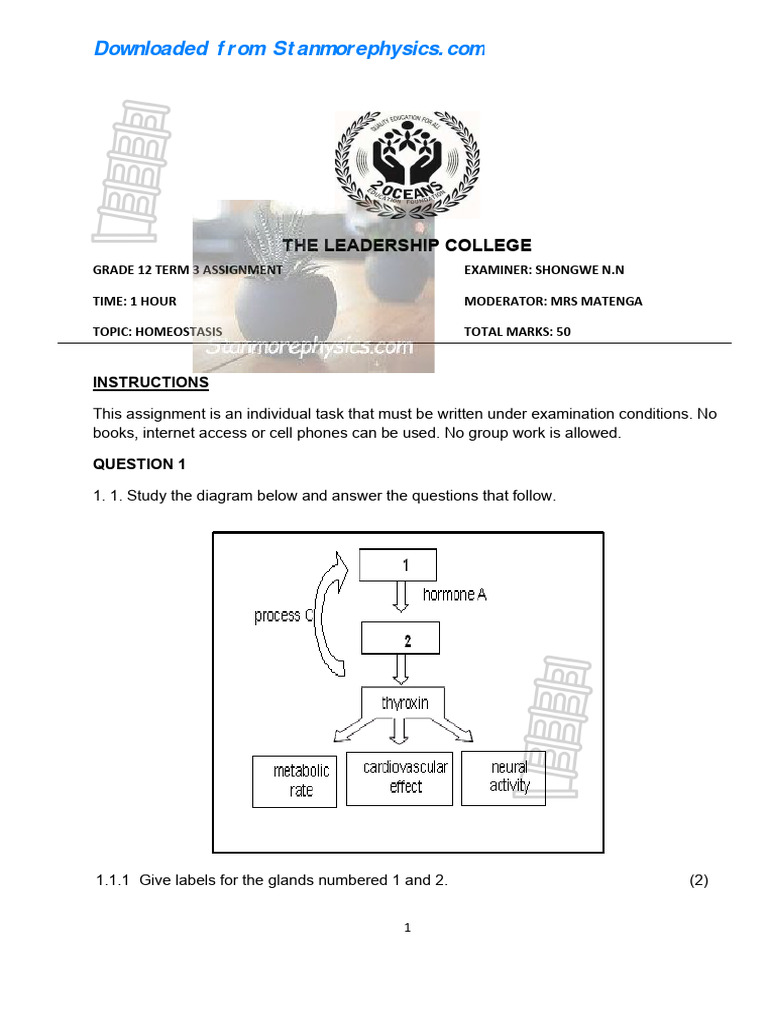 Life Sciences Grade 12 Assignment TERM 3 QP and Memo | PDF