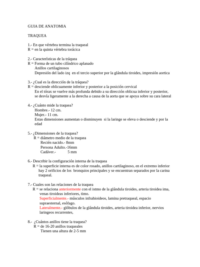 Guia - de - Anato 3 | PDF