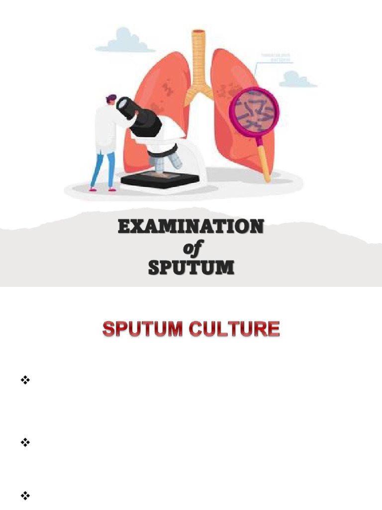 Examination of Sputum (1) | PDF