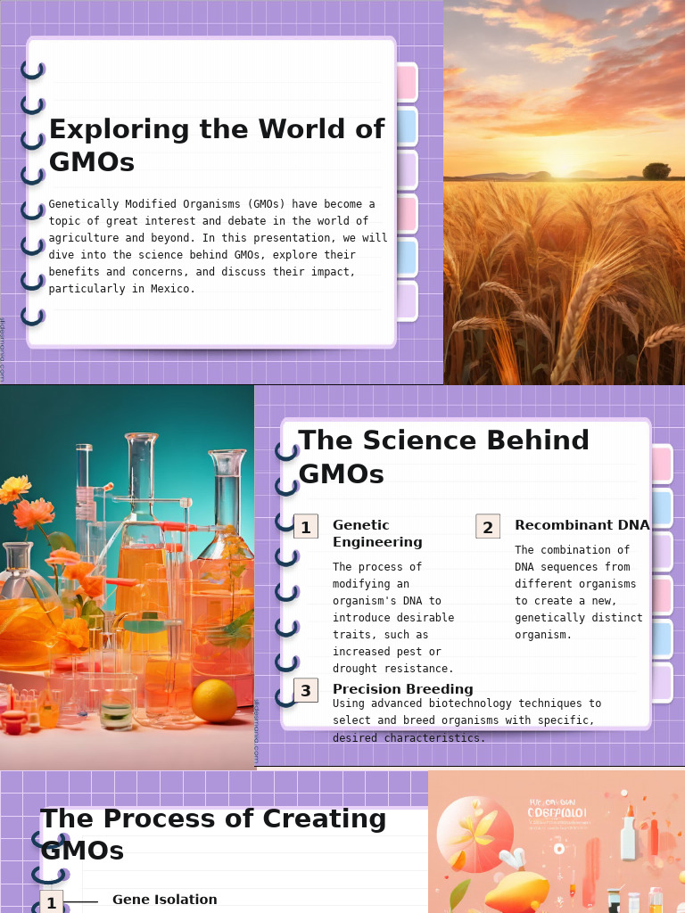 Exploring The World of GMOs | PDF | Genetically Modified Organism ...