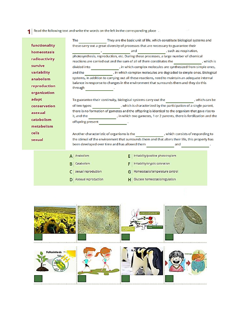 CCH ACTPORTALACADEMICOsistemasbiologicoOA | PDF