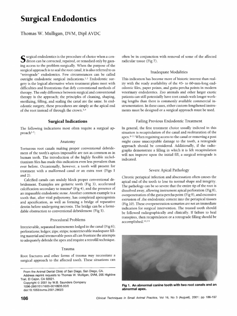 Surgical Endodontics | PDF