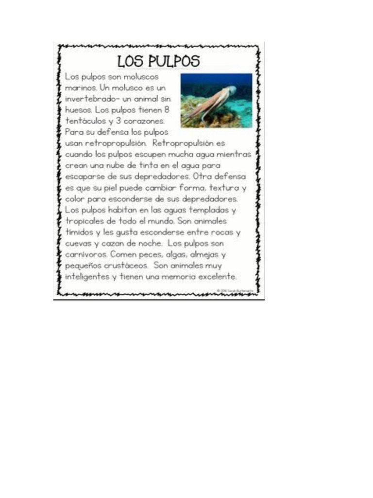 Texto Informativo Los Pulpos-1 | PDF