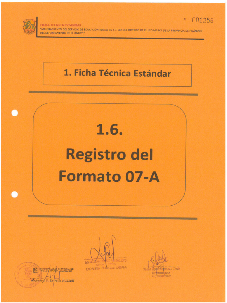 1.6. Formato 7a | PDF