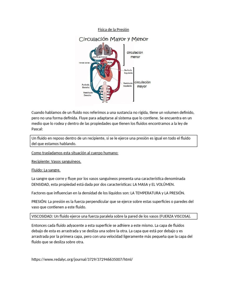Biofísica 2 Viscosidad de La Sangre | PDF
