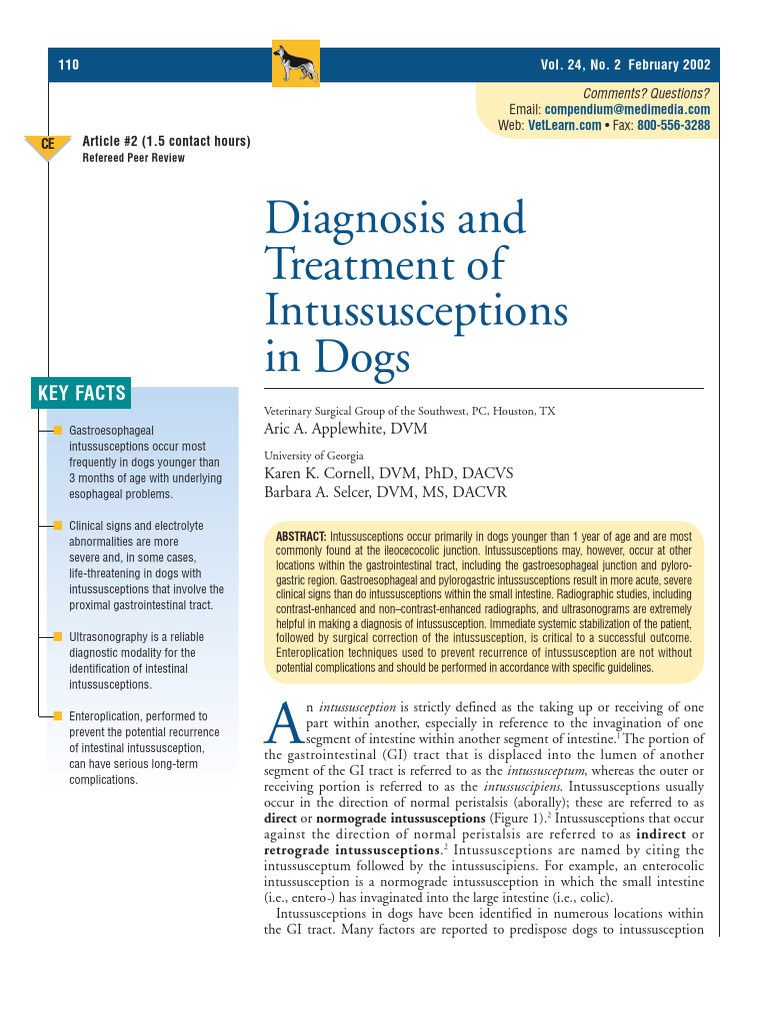 Diagnosis and Treatment of Intussusceptions in Dogs | PDF