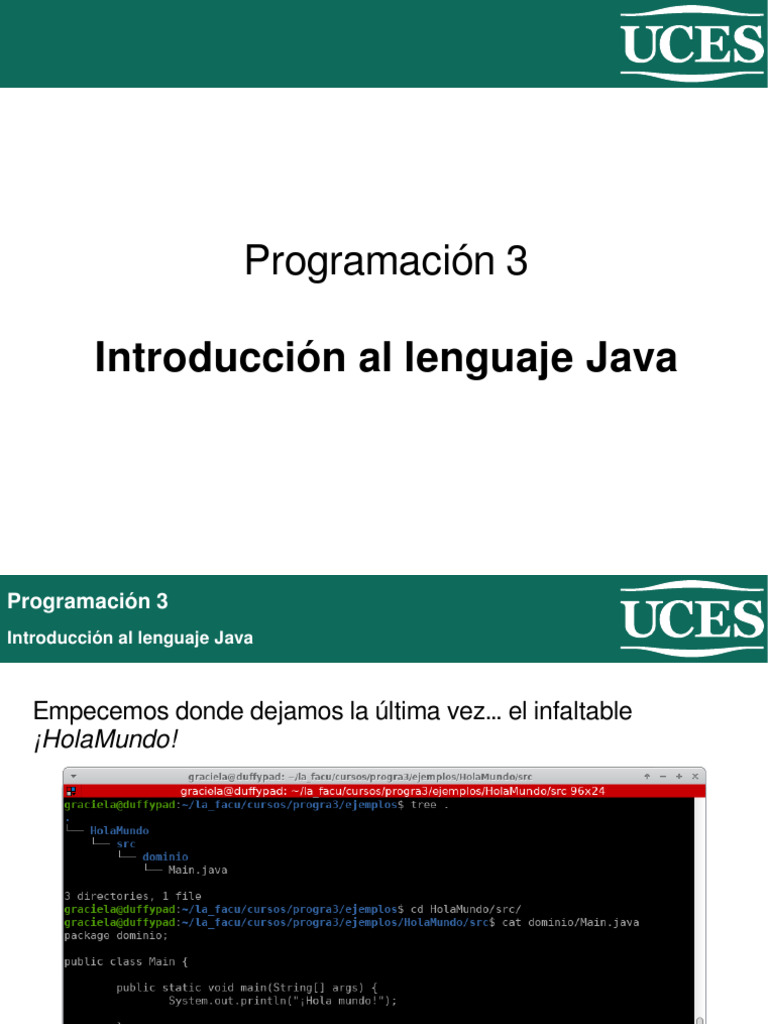 10 Apunte Intro Lenguaje Java | PDF | Java (lenguaje de programación) | Lenguaje de programación