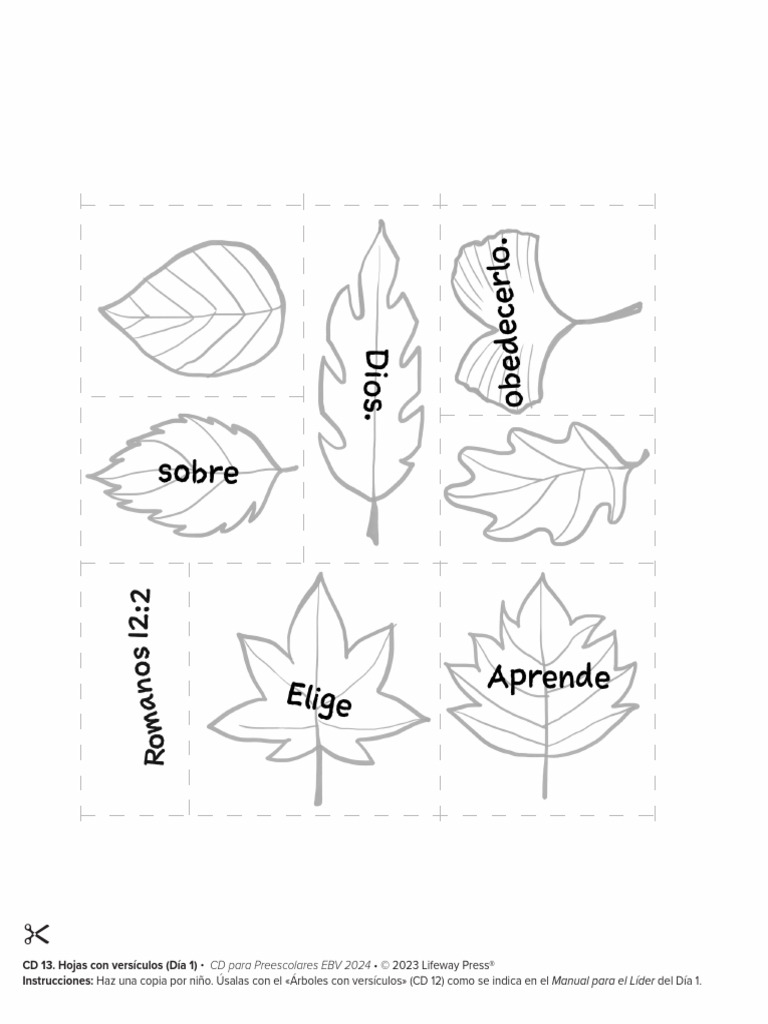 CD 13. Hojas - Versiculos | PDF