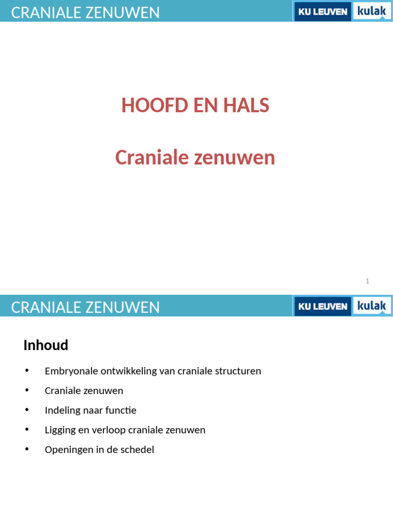 01 Craniale Zenuwen | PDF